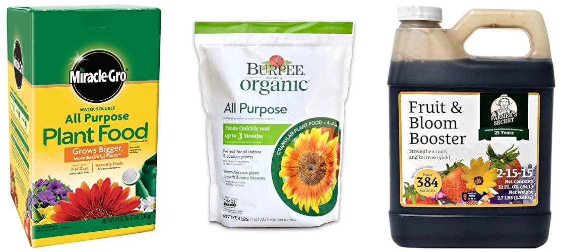 Top 5 Fertilizer For Flower Garden: Best Blooms Now!