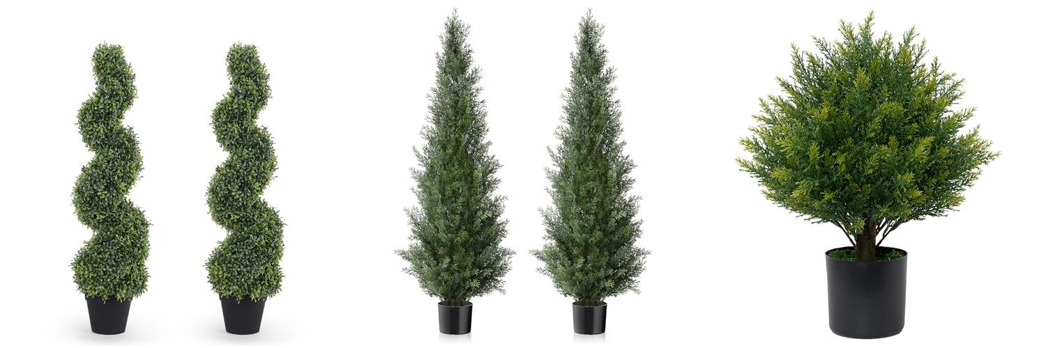 Top 5 Front Garden Trees: Your Essential Buying Guide