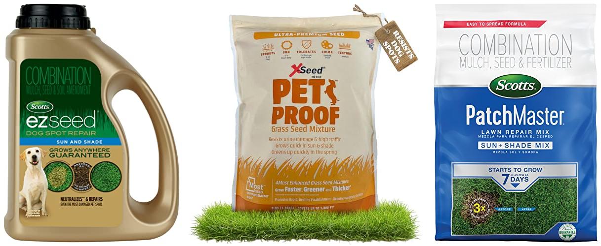 Best Grass Seed For Yards With Dogs - Top 5 Picks & Review