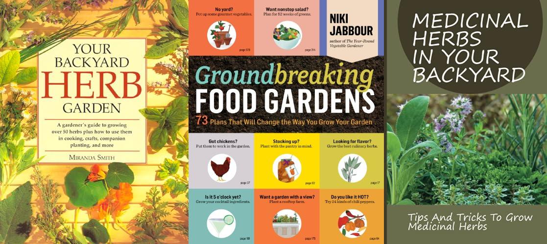 Top 5 Herb Garden Layouts: Your Ultimate Guide