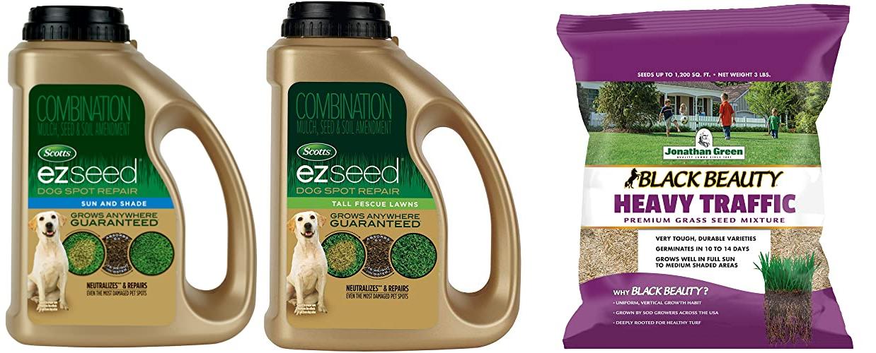 Top 5 Lawn Seed For Dogs: Your Essential Guide