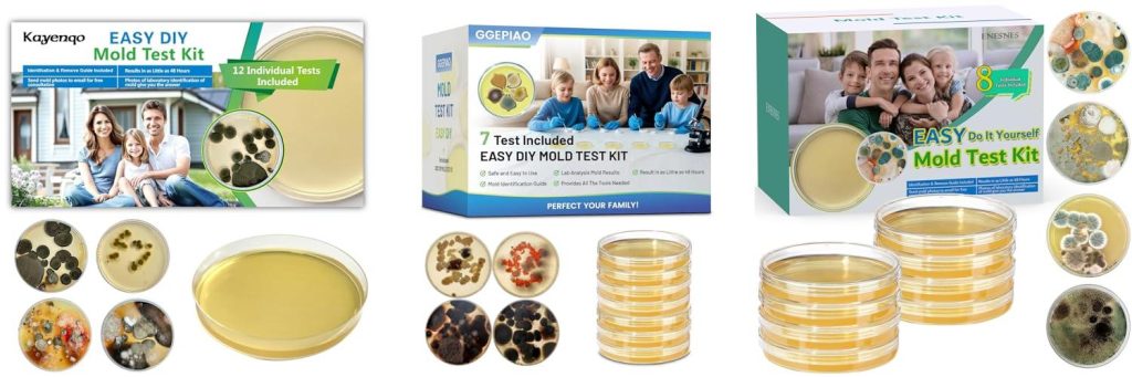 Top 5 Mold Test Kits: Your Essential Buying Guide