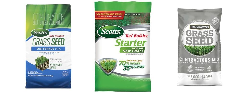 Best Seed For New Lawn - Top 5 Picks & Review