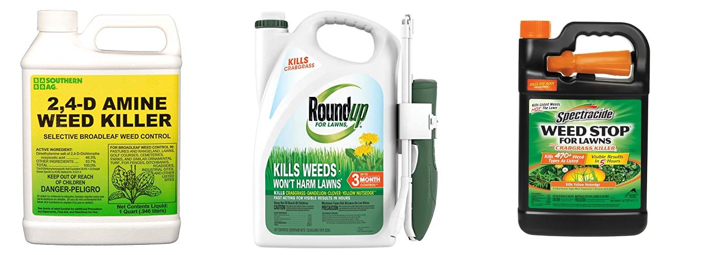 Best Selective Herbicide For Lawns - Top 5 Picks & Review