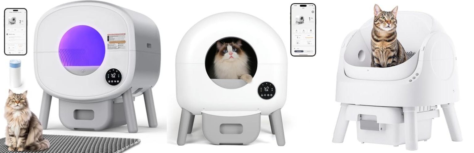Self Cleaning Litter Box Reddit