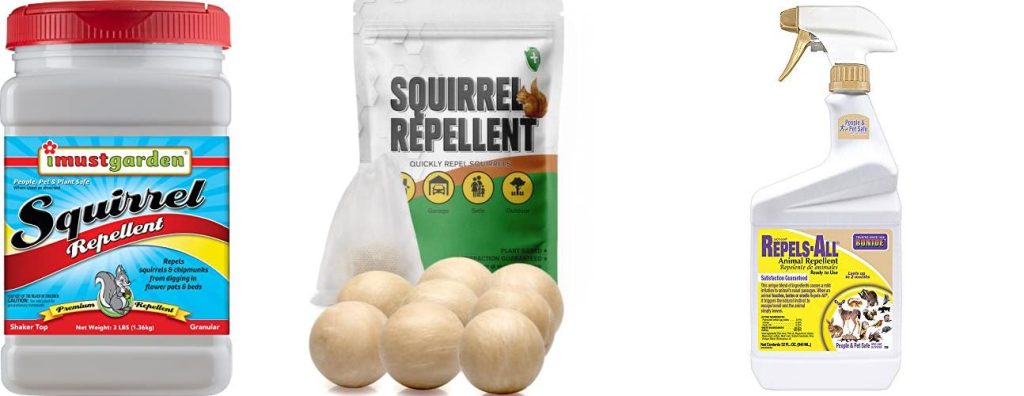 Top 5 Squirrel Deterrents: Your Garden's Best Defense