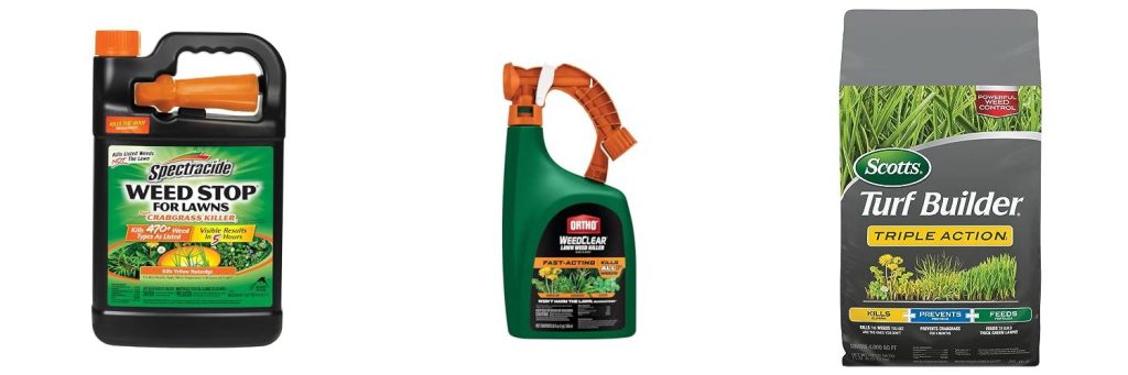 Top 5 Weed Killers for Your Grass Lawn: Guide